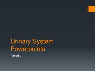 PPT - Urinary System Powerpoints PowerPoint Presentation, free download ...