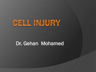 PPT - Cell injury PowerPoint Presentation, free download - ID:2244362