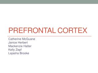 PPT - Prefrontal Cortex PowerPoint Presentation, free download - ID:2259553