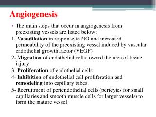 PPT - Angiogenesis PowerPoint Presentation, free download - ID:2263996