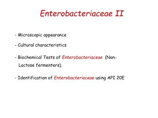 PPT - Enterobacteriaceae II PowerPoint Presentation, free download - ID ...