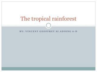 PPT - The tropical rainforest PowerPoint Presentation, free download ...