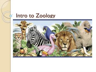 PPT - Intro to Zoology PowerPoint Presentation, free download - ID:2283466