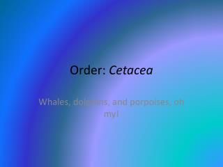 PPT - Order: Cetacea PowerPoint Presentation, free download - ID:2283648