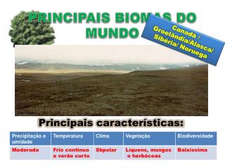 PPT - PRINCIPAIS BIOMAS DO MUNDO PowerPoint Presentation, free download ...