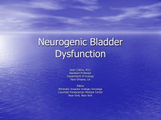 PPT - Neurogenic Bladder Dysfunction PowerPoint Presentation, free ...