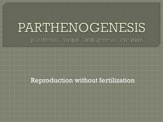 PPT - PARTHENOGENESIS parthenos "virgin " and genesis " creation" PowerPoint Presentation - ID ...
