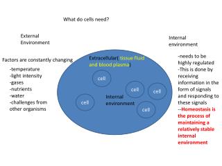 PPT - Homeostasis topic 6.5 Maintaining internal environment PowerPoint ...