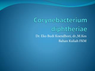 PPT - Corynebacterium diphtheriae PowerPoint Presentation - ID:3672369