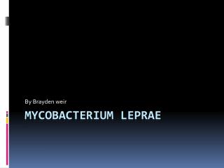 PPT - Mycobacterium leprae PowerPoint Presentation, free download - ID ...