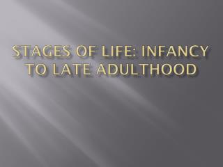 PPT - Stages of Life: Infancy to Late Adulthood PowerPoint Presentation ...