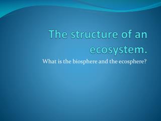 PPT - The structure of an ecosystem . PowerPoint Presentation, free ...