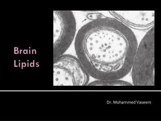 PPT - Brain Lipids PowerPoint Presentation, free download - ID:2348446