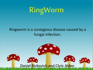 PPT - What Is Ringworm? PowerPoint Presentation - ID:3020046