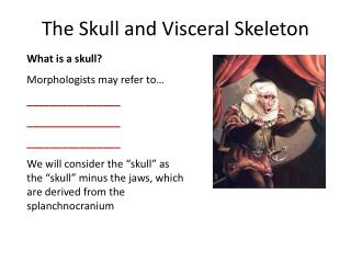PPT - The Skull and Visceral Skeleton PowerPoint Presentation, free ...