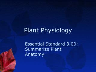 PPT - The Plant Body PowerPoint Presentation - ID:733925