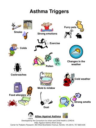 PPT - Asthma Triggers PowerPoint Presentation, free download - ID:2396673