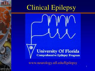 PPT - Clinical Epilepsy PowerPoint Presentation, free download - ID:2399090