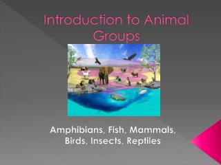 PPT - Introduction to Animal Groups PowerPoint Presentation, free ...