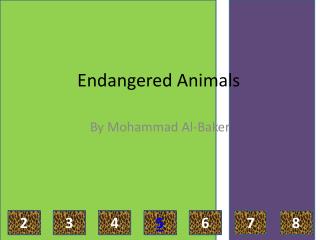 PPT - Endangered Animals PowerPoint Presentation, free download - ID ...