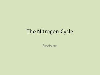 PPT - The Nitrogen Cycle PowerPoint Presentation, free download - ID ...
