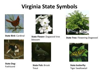 PPT - Virginia State Symbols PowerPoint Presentation, free download ...