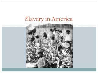 PPT - Slavery in America PowerPoint Presentation, free download - ID ...