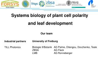 PPT - Systems biology of plant cell polarity and leaf development ...