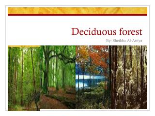 PPT - Deciduous forest PowerPoint Presentation, free download - ID:2449780