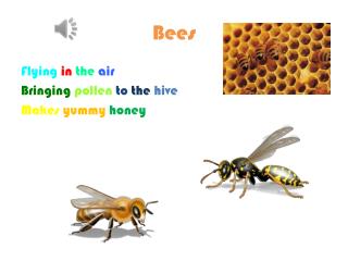 PPT - Bees PowerPoint Presentation, free download - ID:2455452