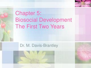 PPT - Chapter 5: Biosocial Development The First Two Years PowerPoint ...
