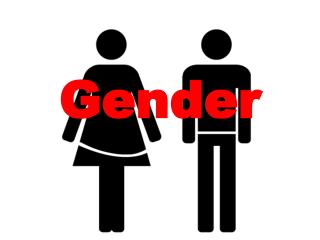 PPT - Gender PowerPoint Presentation, free download - ID:2484478
