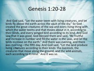 PPT - Genesis 1:20-28 PowerPoint Presentation - ID:2497787