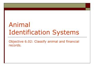 PPT - Animal Identification Systems PowerPoint Presentation, free ...
