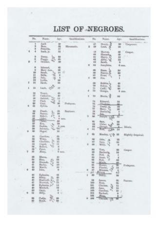PPT - Weimar election results, 1919-1933 PowerPoint Presentation, free ...