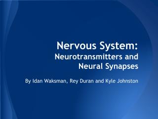 PPT - Nervous System: Neurotransmitters and Neural Synapses PowerPoint ...