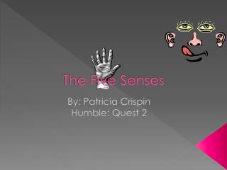 PPT - The Five Senses PowerPoint Presentation, free download - ID:2530477
