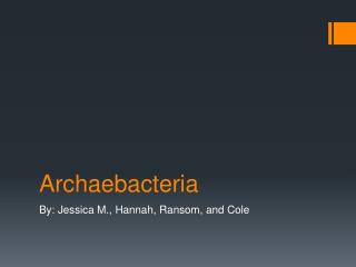 PPT - Archaebacteria PowerPoint Presentation, free download - ID:2558891