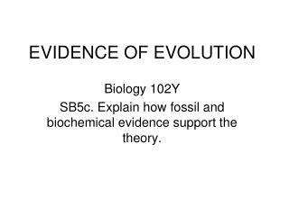 PPT - EVIDENCE OF EVOLUTION PowerPoint Presentation, free download - ID ...