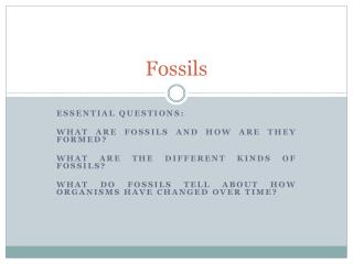 PPT - Fossils PowerPoint Presentation, free download - ID:2599275