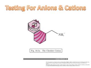 PPT - Testing For Anions & Cations PowerPoint Presentation, free ...