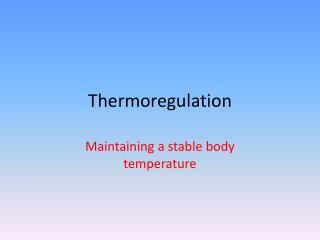 PPT - Thermoregulation PowerPoint Presentation, free download - ID:2602700