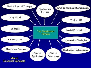 PPT - The Disablement Process PowerPoint Presentation, free download ...