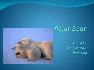 PPT - The Polar Bear Life Cycle PowerPoint Presentation - ID:2778861