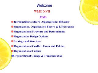 PPT - PEO C4I Organizational Structure PowerPoint Presentation - ID:716856