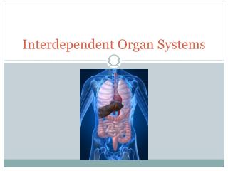 PPT - Organ Systems and Homeostasis PowerPoint Presentation - ID:245222