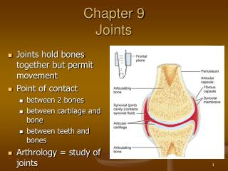 PPT - Chapter 9 Joints PowerPoint Presentation, free download - ID:266616