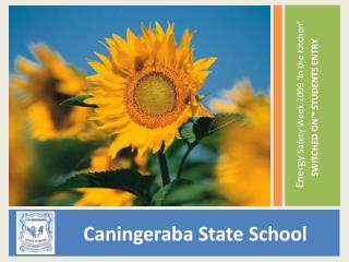 PPT - Caningeraba State School PowerPoint Presentation, free download ...