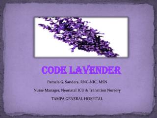 PPT - CODE LAVENDER PowerPoint Presentation, free download - ID:2699103