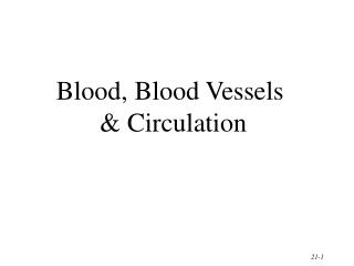 PPT - Blood, Blood Vessels & Circulation PowerPoint Presentation, free ...
